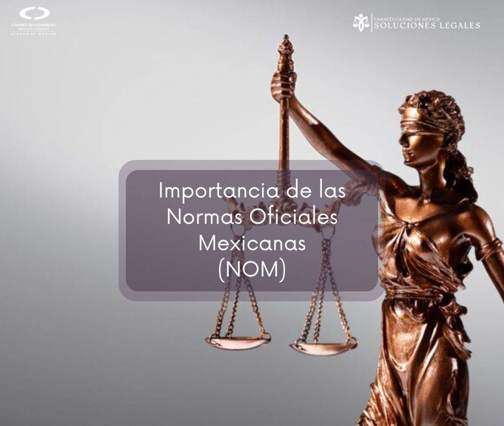 Contenido Legal - Jurídico