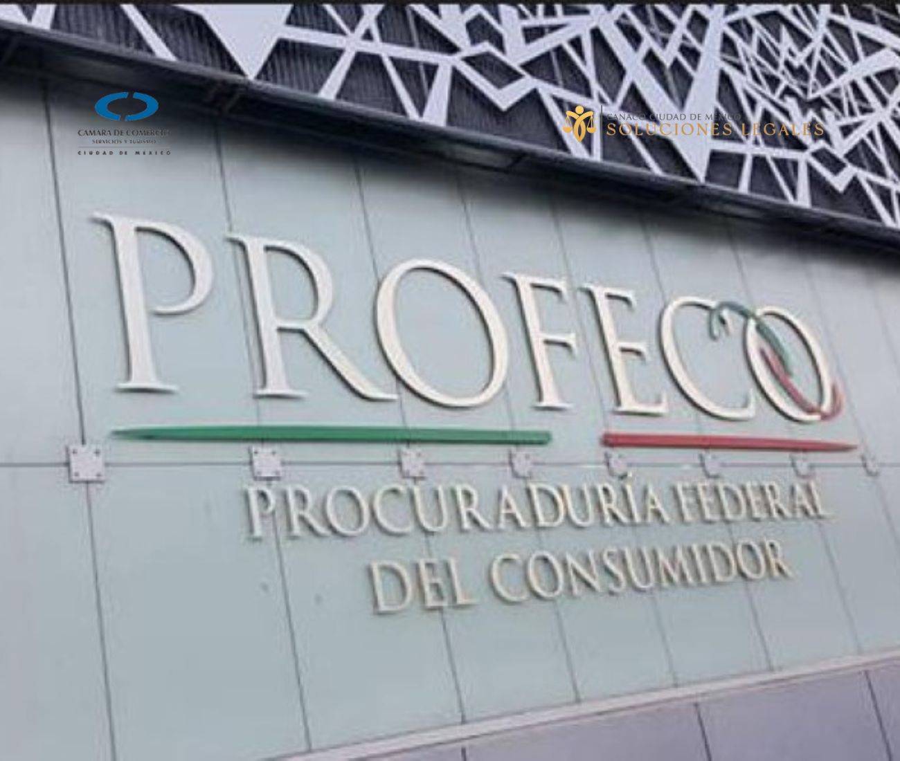Periodo vacacional PROFECO